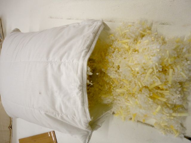 What's Inside Your Pillow?