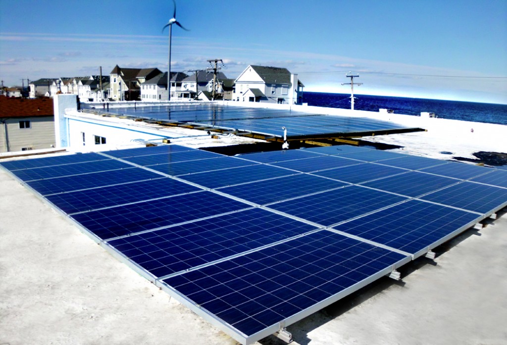 World Environment Day